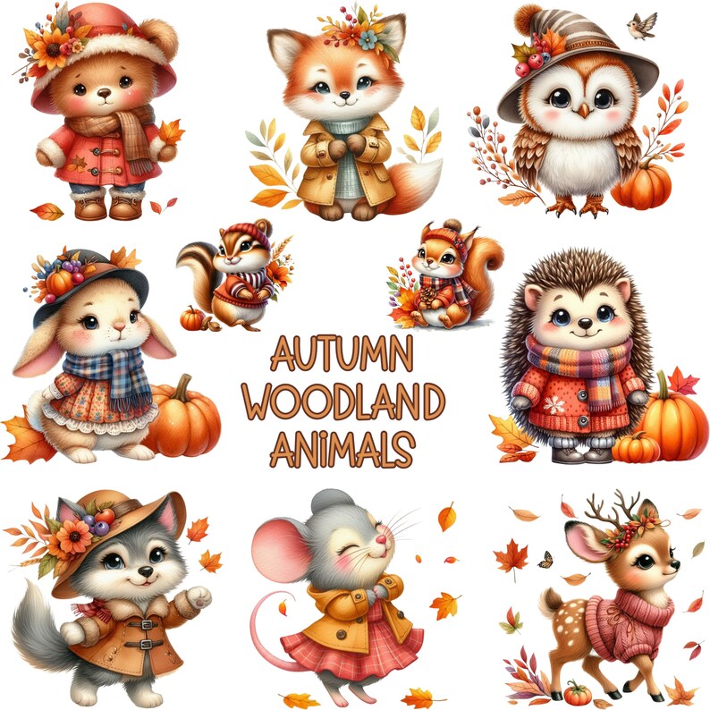 Autumn Woodland Animals Clipart Bundle: Watercolor Forest PNG Images ...