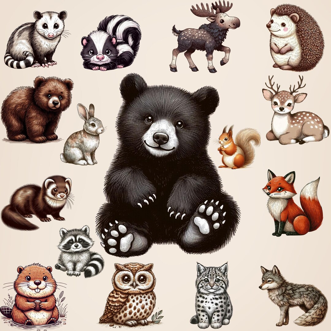 Woodland Animals Clipart Bundle: Hand-drawn Forest Pngs (commercial Use ...