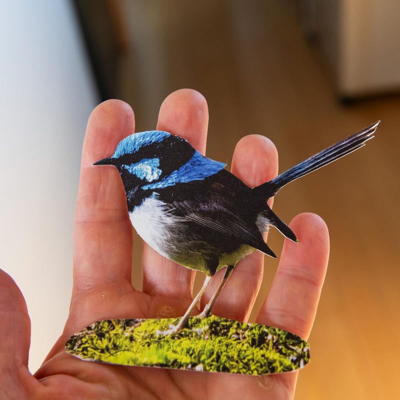 Blue Wren - Etsy Australia