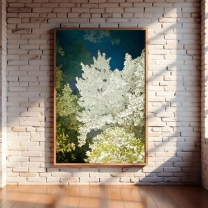 White Tree Photo Print: Night Landscape Wall Art (digital Download) - Etsy