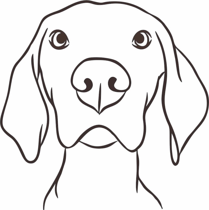 Vizsla Ball Cap, Vizsla Apparel - Etsy