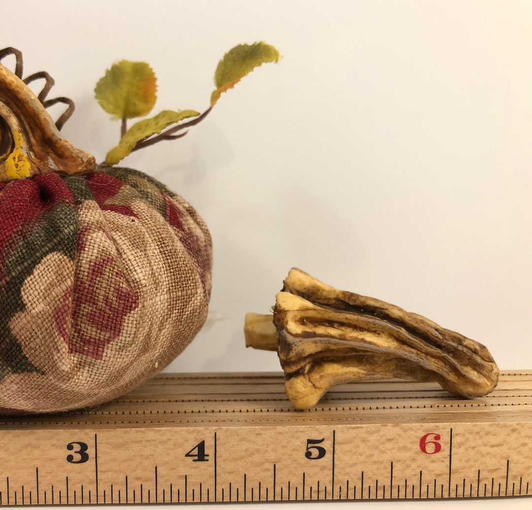 Small Pumpkin Stems Realistic Resin for Velvet Fabric Pumpkins Fall DIY ...