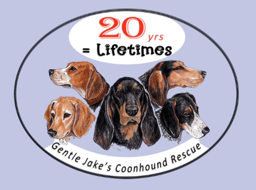 Tee Gentle Jake's 20th Anniversary - Etsy