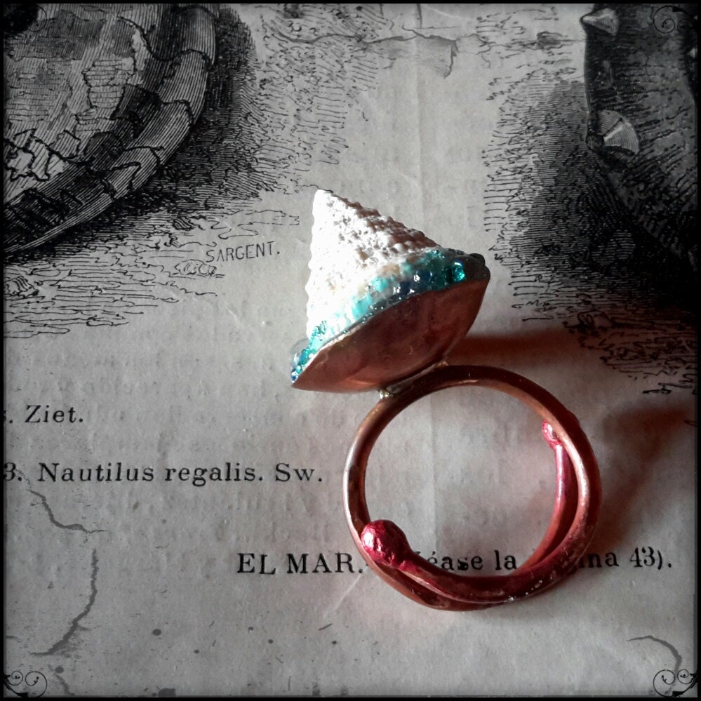 Sea Ring Nautilis Regalis Ocean Shell Adjustable Copper Art Ring - Etsy