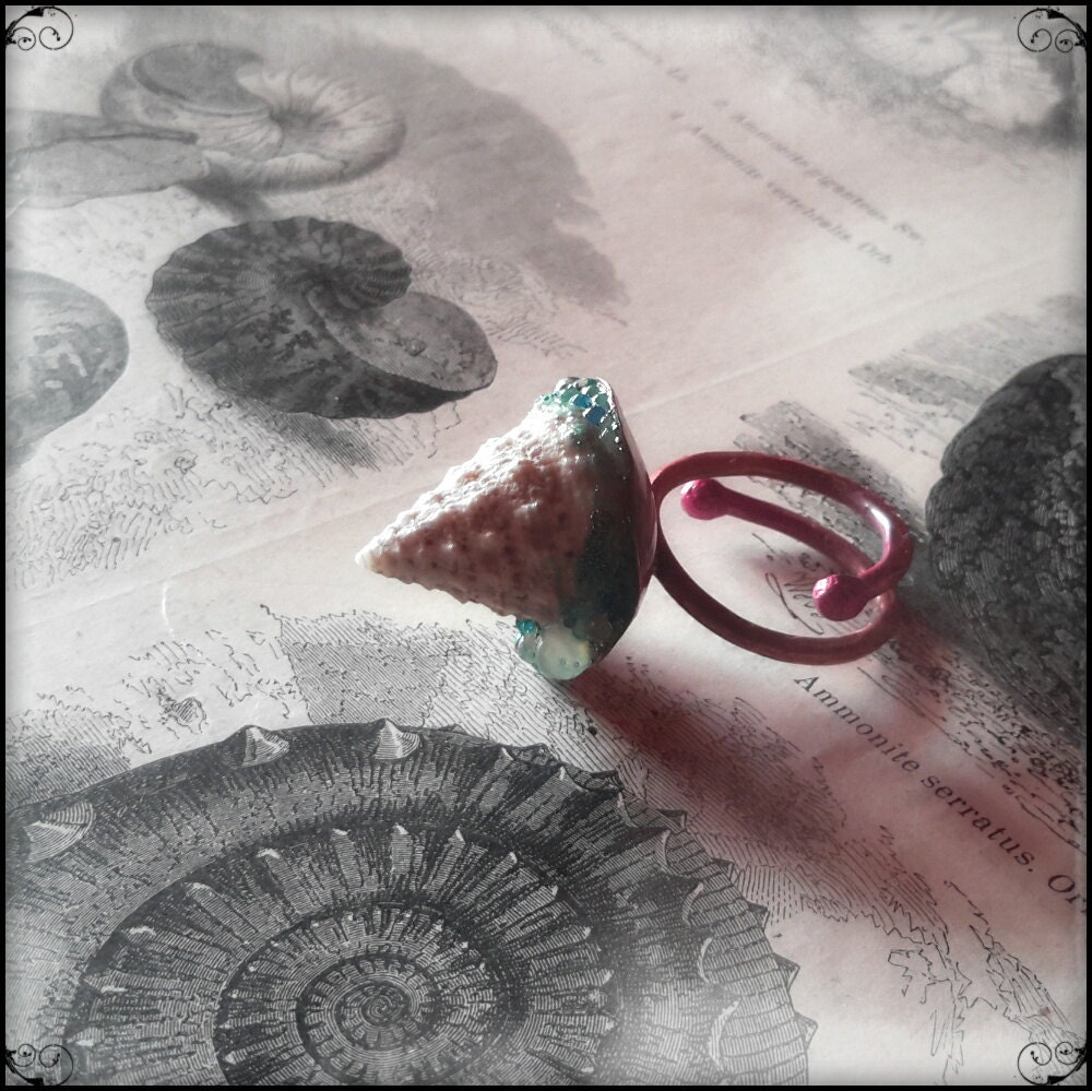 Sea Ring Nautilis Regalis Ocean Shell Adjustable Copper Art Ring - Etsy