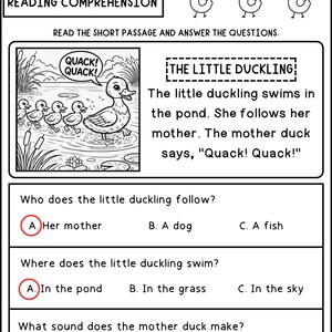 Spring Reading Comprehension Passages for Kindergarten & 1st Grade | 20 ...