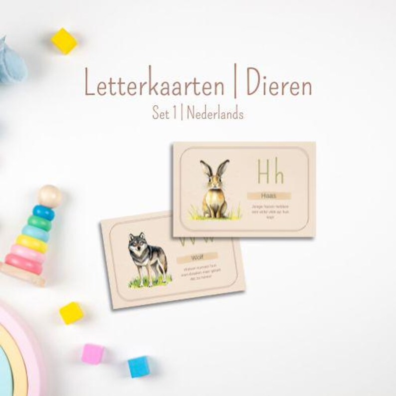Letter Cards Alphabet Flashcards Dutch Dutch Alphabet Flashcards ...