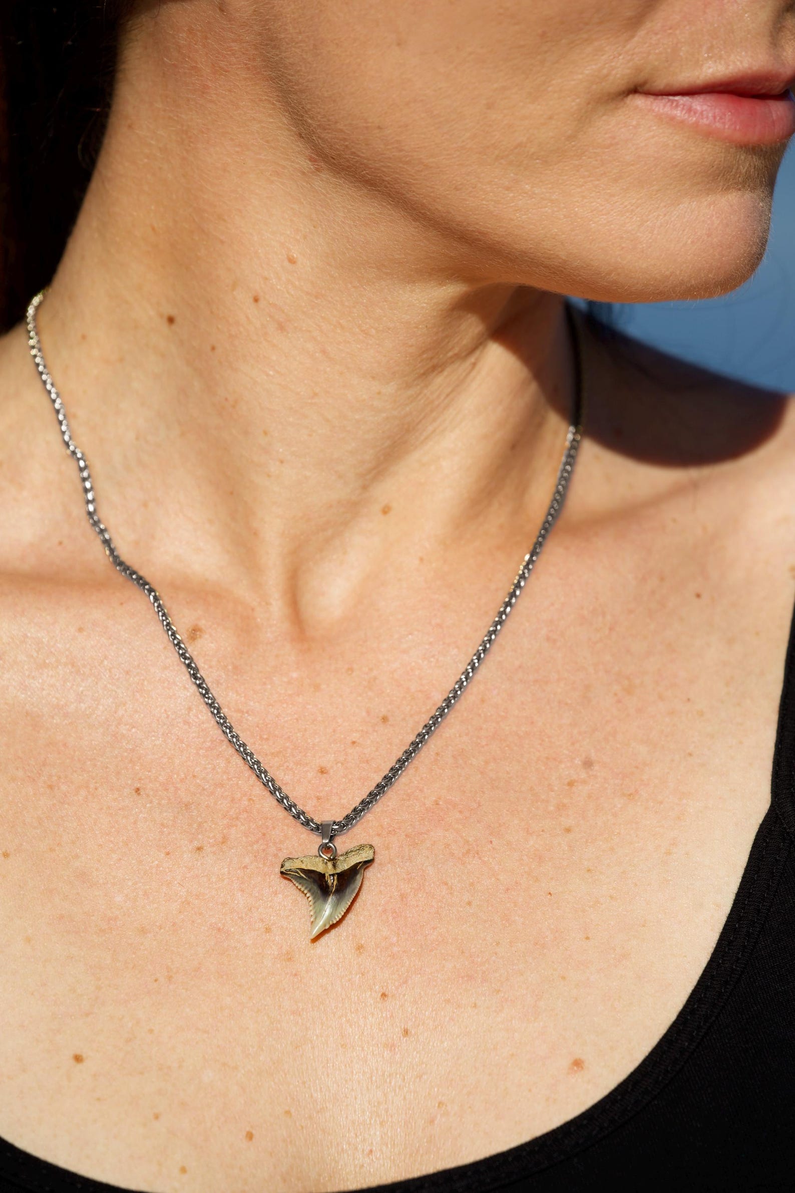 Real Fossilized Shark Tooth Necklace: Stainless Steel Snaggletooth ...