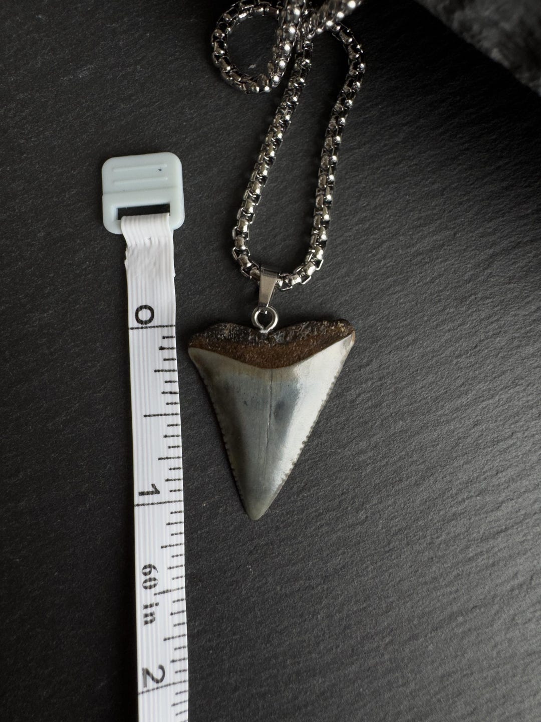 Great White Shark Tooth Necklace - Real Fossilized Tooth 1.5inch / 3 ...
