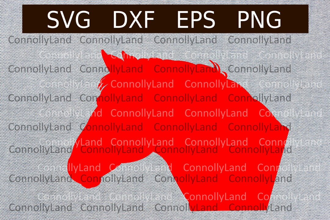 Chunky Pony Domino. This is My Pony. He is a Chunky Guy That Wins the ...