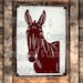 Mule Head Shot. My Mule Reba. Light Riding Mule - Etsy