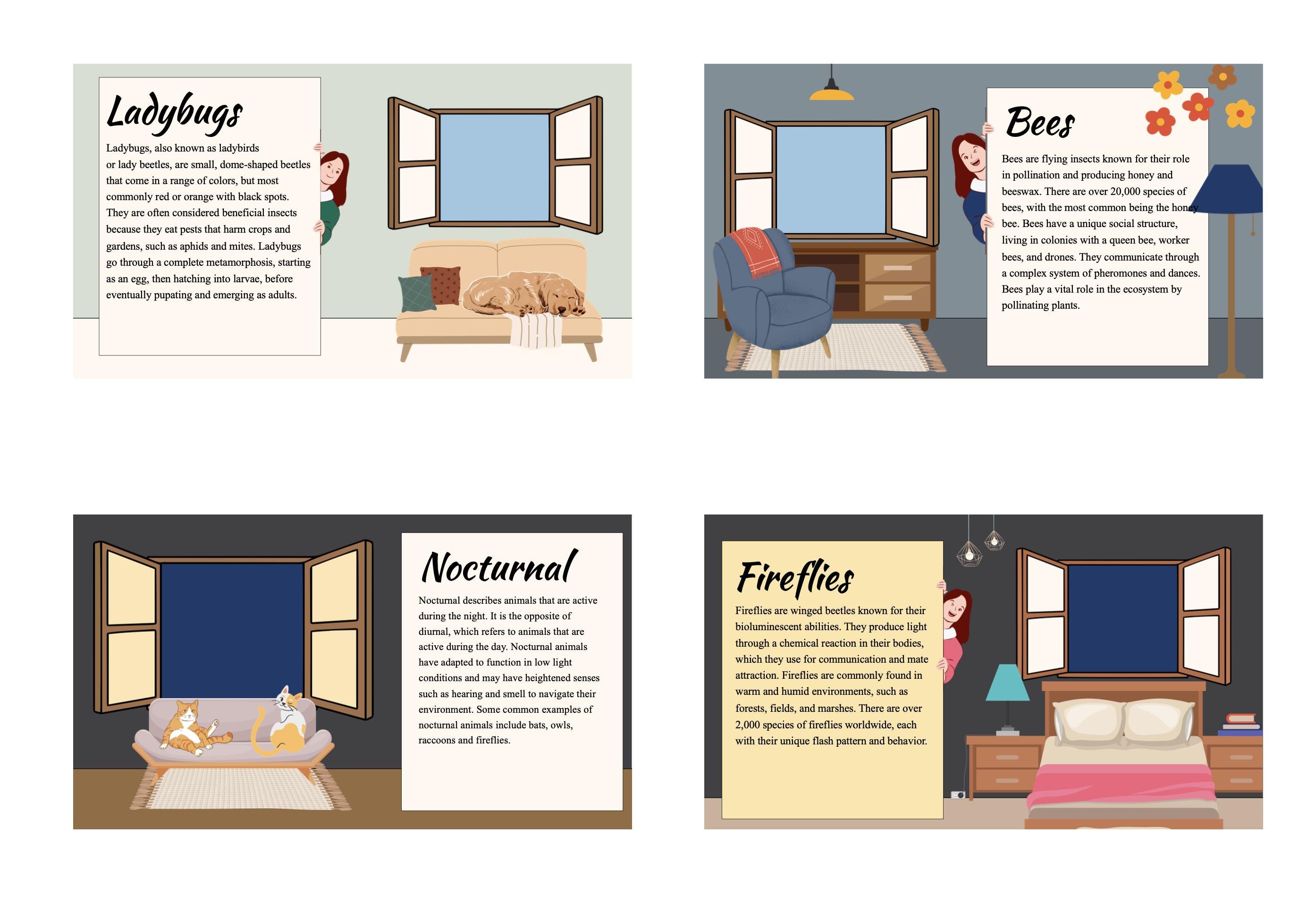 Diurnal and Nocturnal Animals Educational Printable | Digital Download ...