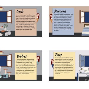 Diurnal and Nocturnal Animals Educational Printable | Digital Download ...