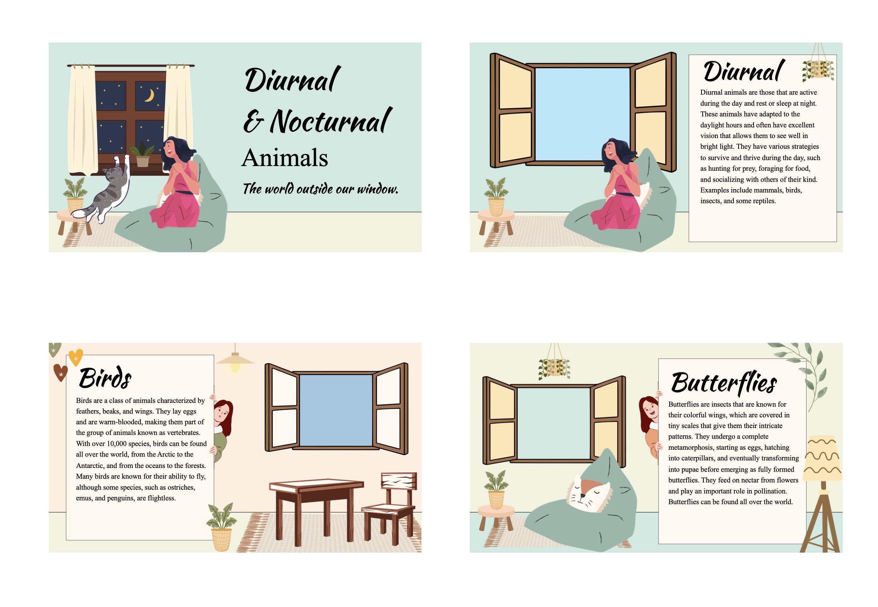 Diurnal and Nocturnal Animals Educational Printable | Digital Download ...