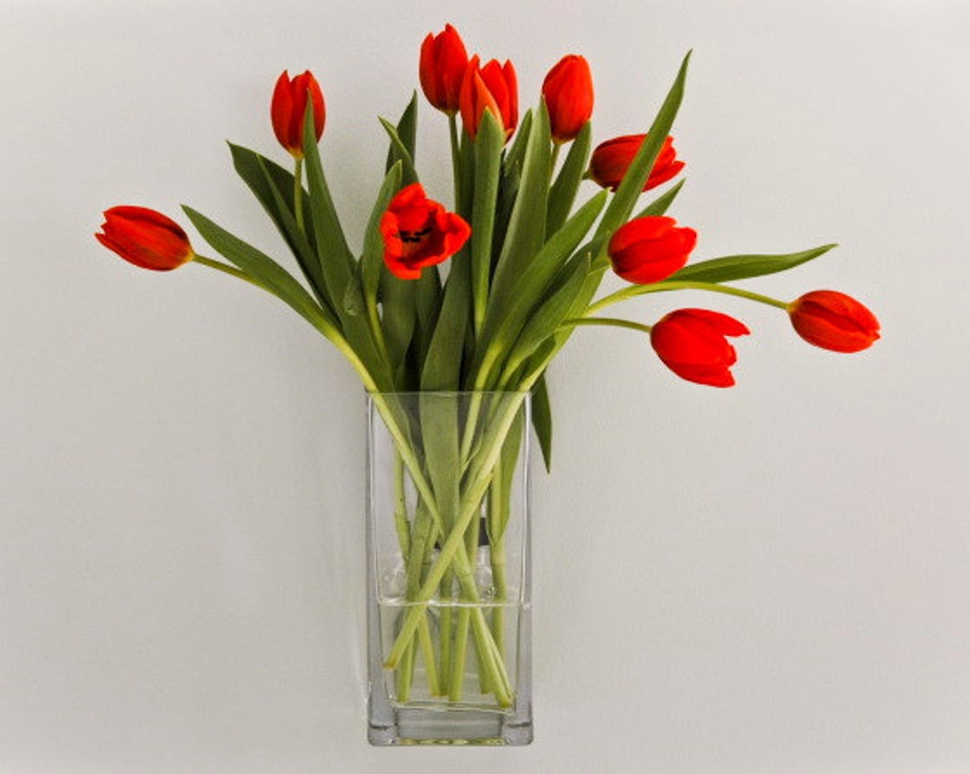 Small Size Wall Hanger, Small Vase Wall Hanger, Adjustable Small Plate ...