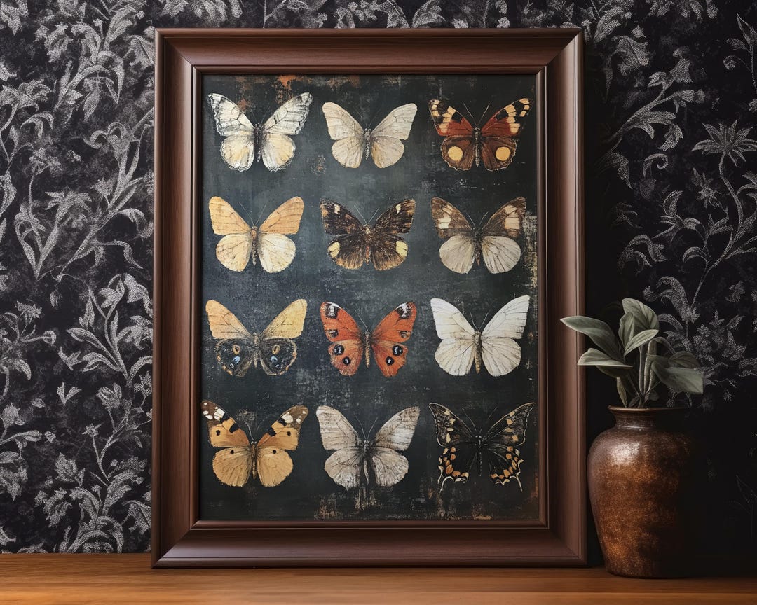 Vintage Butterfly Poster Print Dark Academia Wall Decor Insect ...