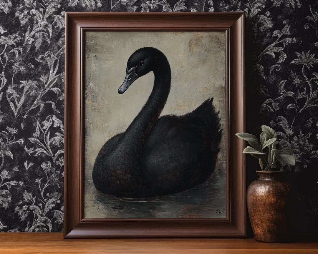 Black Swan Poster Print Gothic Swan Wall Art Soft Neutral Vintage Oil ...