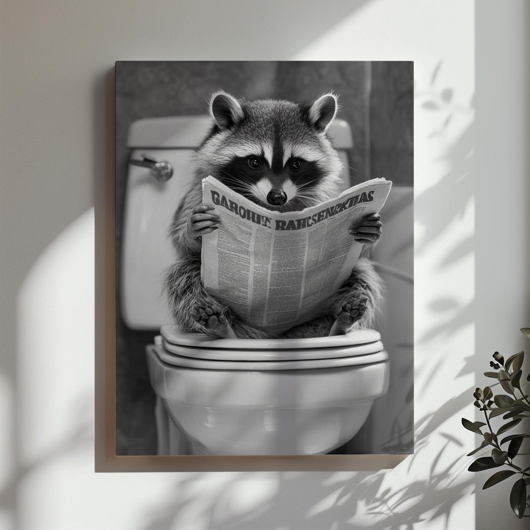 Raccoon Toilet Canvas Print Funny Animal Bathroom Wall Art Black ...