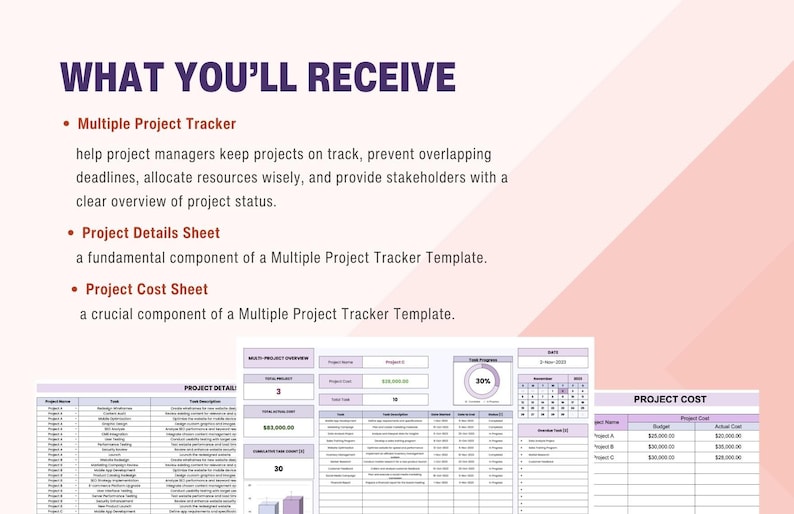 Multiple Project Tracker Dashboard - Portfolio Management Excel, Google ...