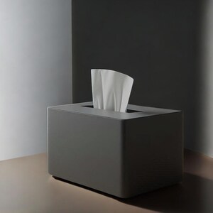 Minimalist Tissue Holder Modern for Home & Office Sleek, Stylish ...