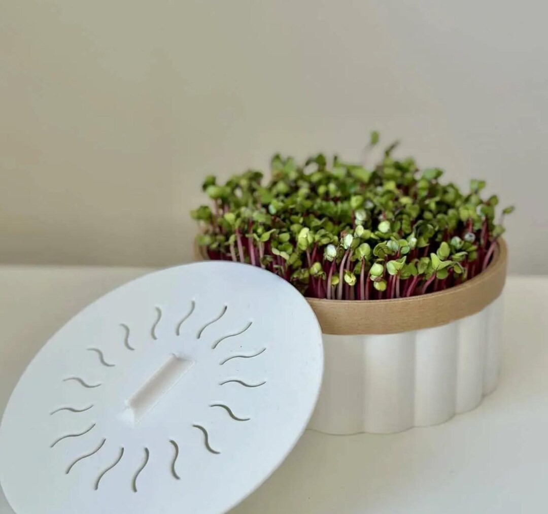 Hydroponic Planter Pot for Soil-free Plant Growth, Hydrogrow System ...