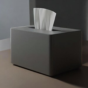 Minimalist Tissue Holder Modern for Home & Office Sleek, Stylish ...
