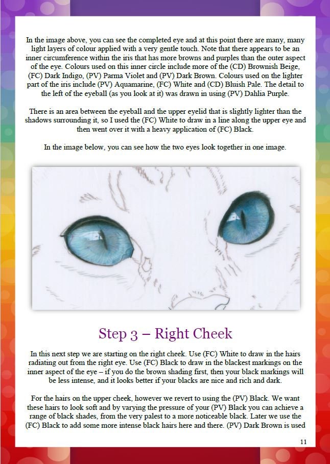 Blue Eyes in Coloured Pencil on Drafting Film Drawing Tutorial - Etsy