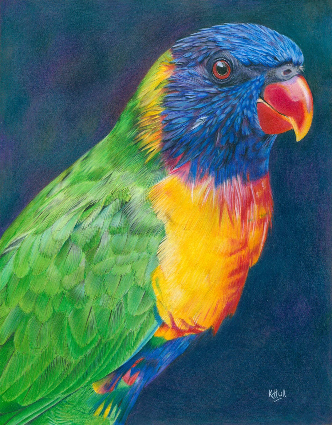 Rainbow Lorikeet Colored Pencil Markers Original Artwork Drawing ...