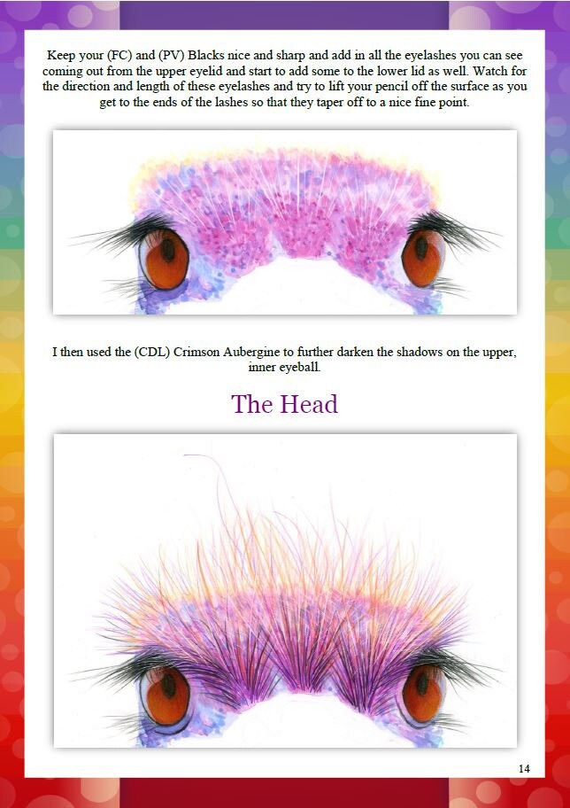 Aussie in Coloured Pencil Drawing Tutorial - Etsy