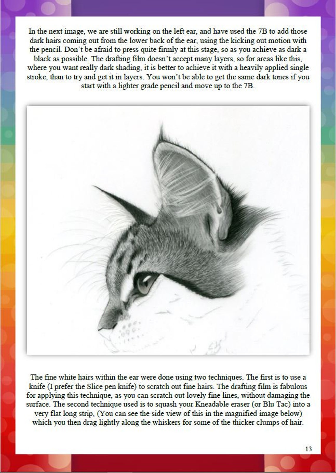 Step by Step Art Tutorial A Cat Portrait in Graphite Pencil | Etsy