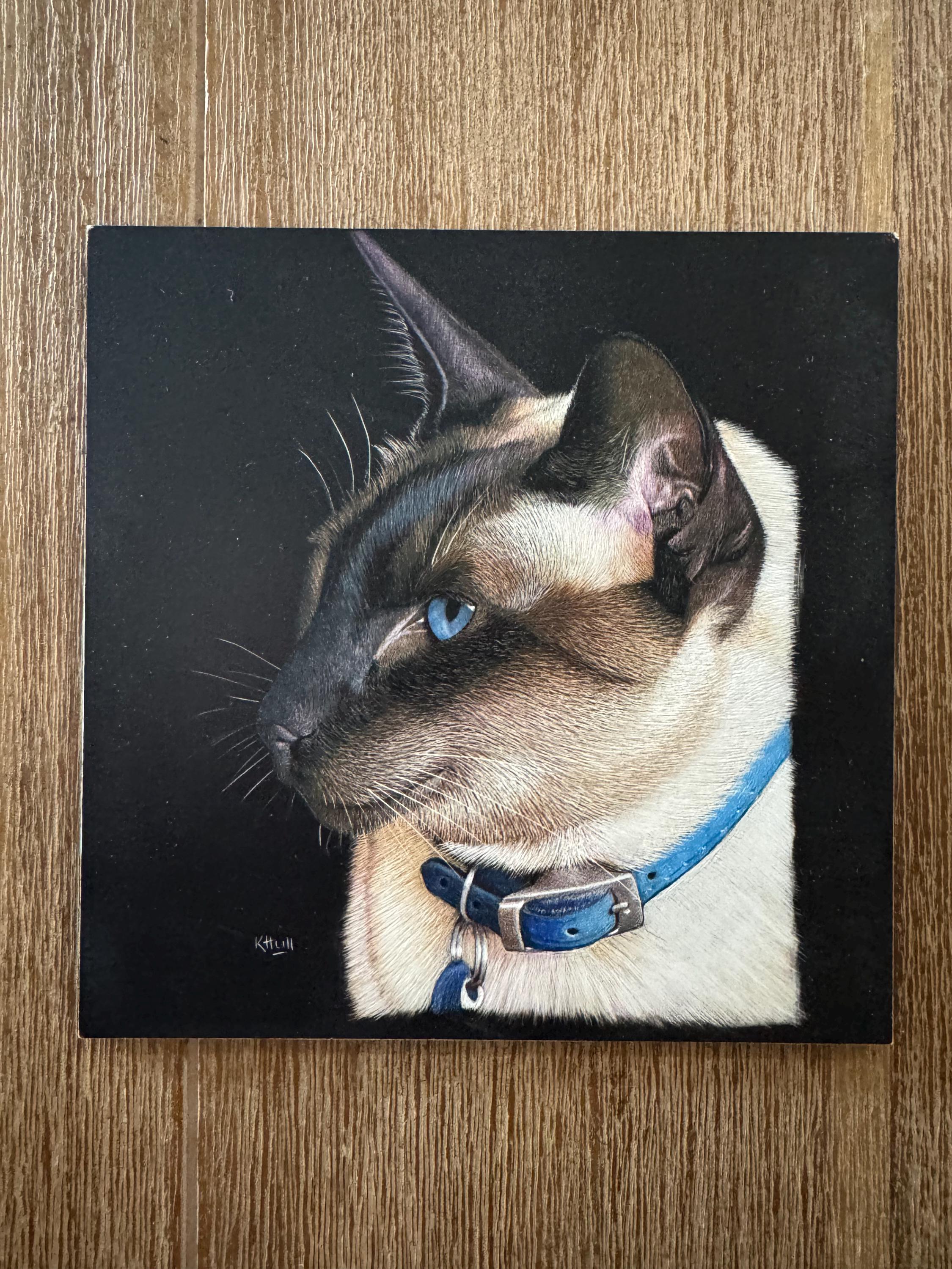 Siamese Cat Kitten Scratchbord Scratch Art Inktense Original Coloured ...