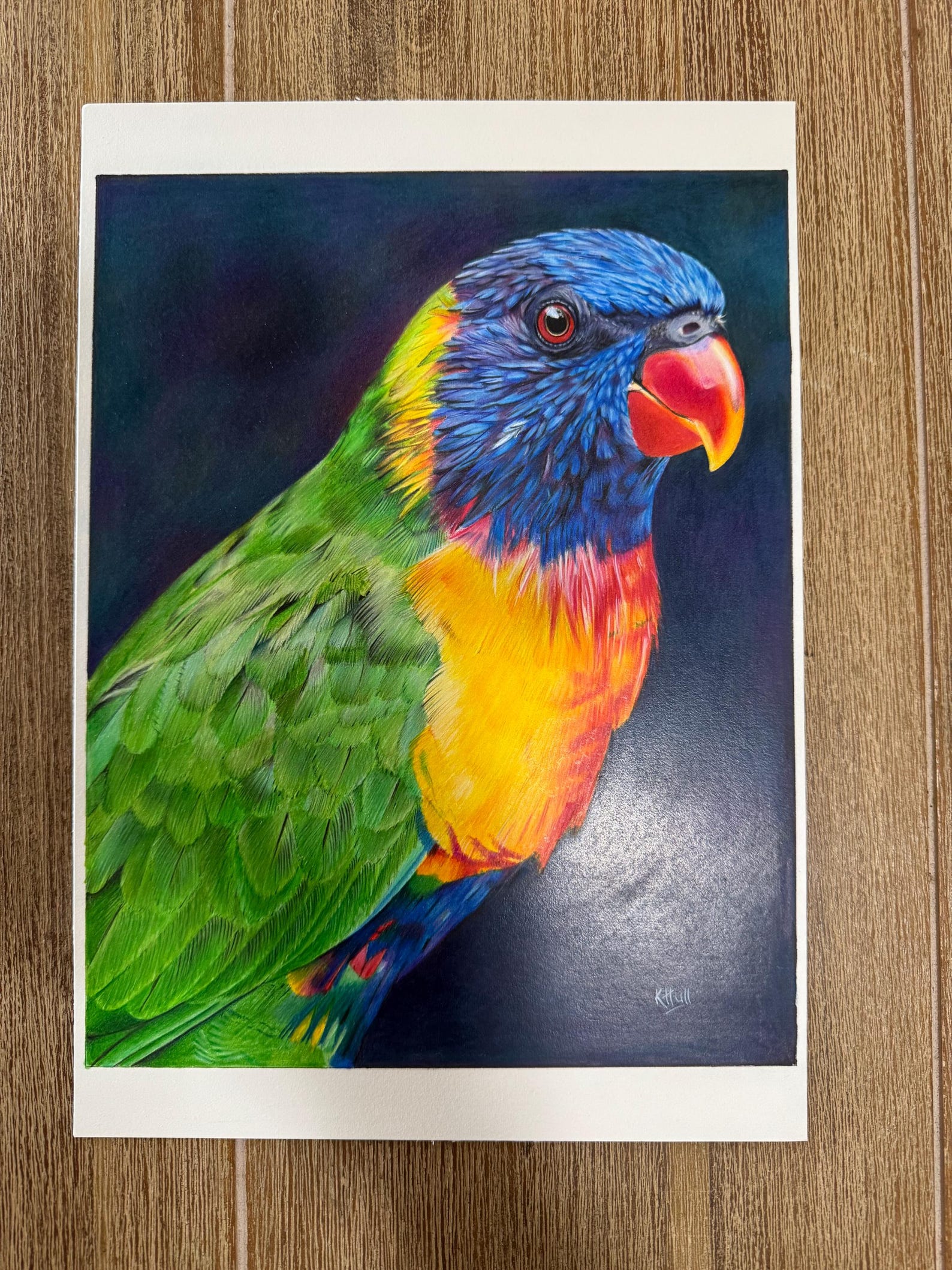 Rainbow Lorikeet Colored Pencil Markers Original Artwork Drawing ...