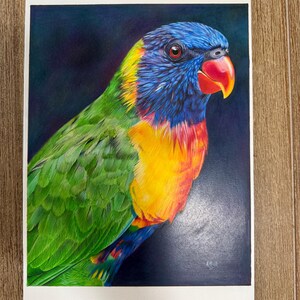 Rainbow Lorikeet Colored Pencil Markers Original Artwork Drawing ...