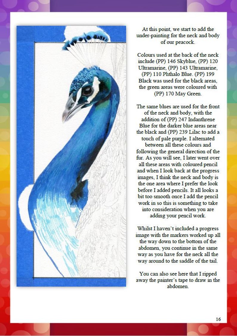 Peacock in Coloured Pencil Drawing Tutorial - Etsy