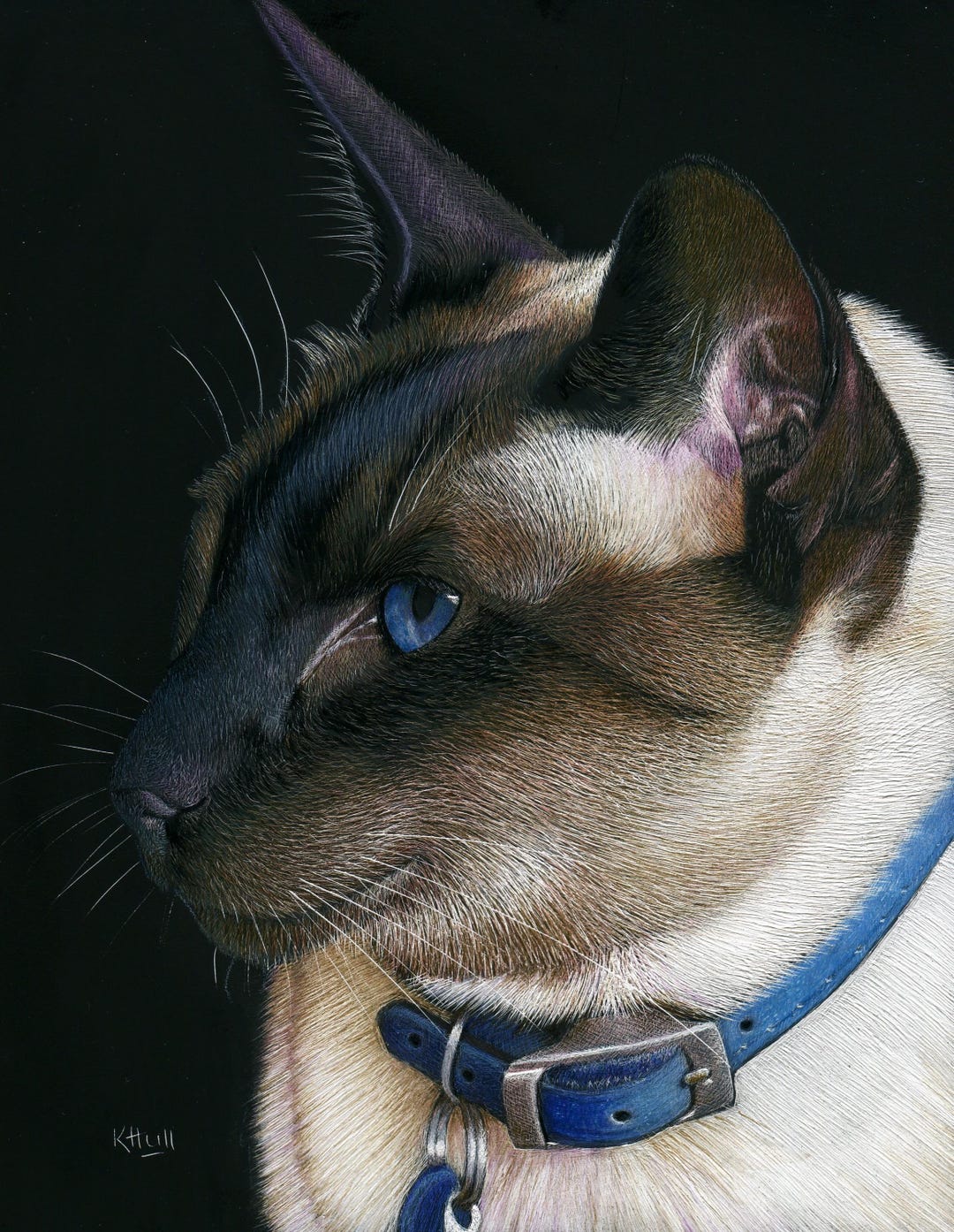 Siamese Cat Kitten Scratchbord Scratch Art Inktense Original Coloured ...