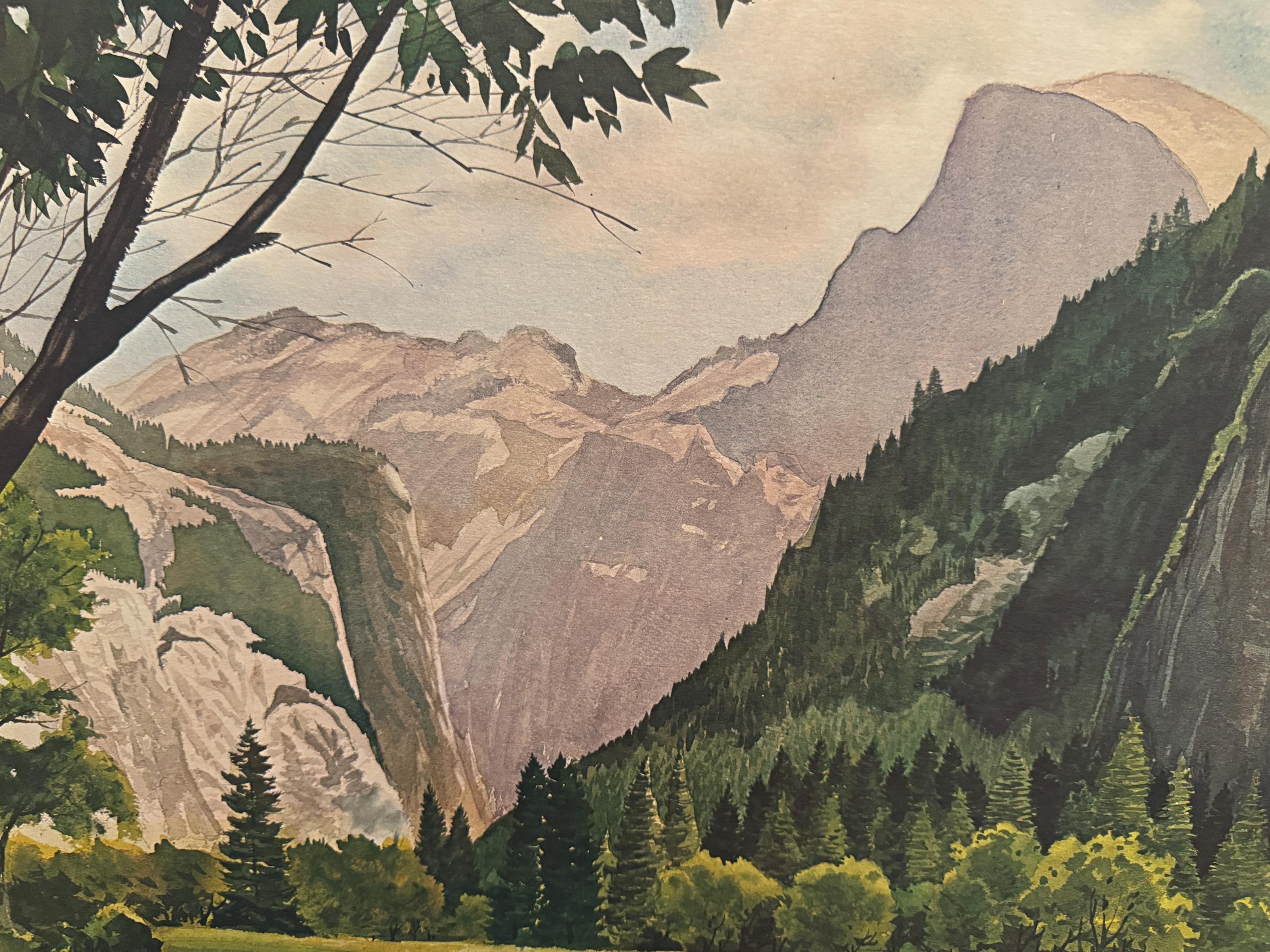 Yosemite Valley Lithograph: Springtime Bear Family Watercolor Print Ben ...