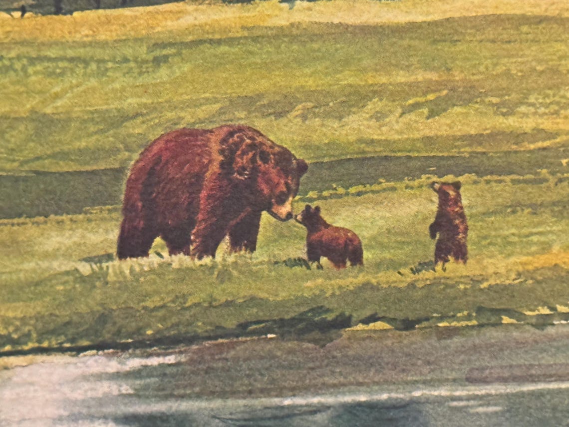 Yosemite Valley Lithograph: Springtime Bear Family Watercolor Print Ben ...