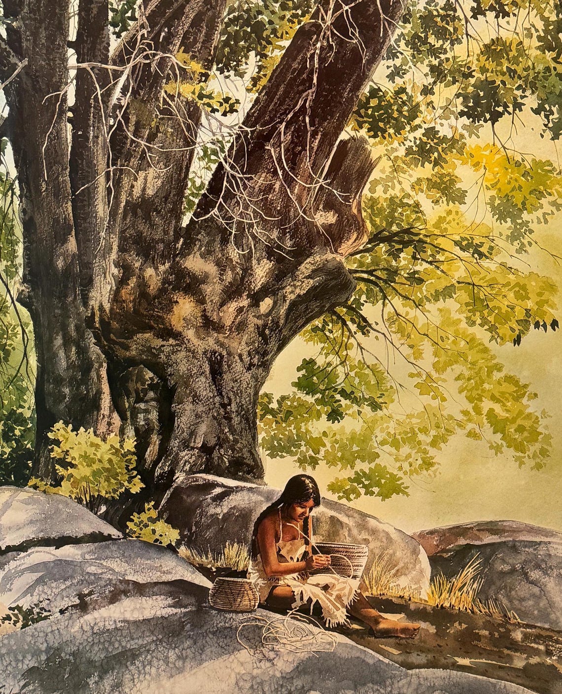 Watercolor Lithograph: “miwok Maiden Weaving Basket Under Spreading Oak ...