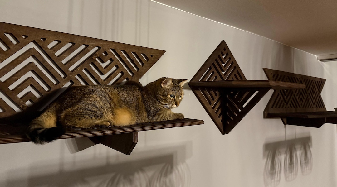 Modern Cat Wall Shelves – Wooden Cat Climbing Furniture, Elegant ...