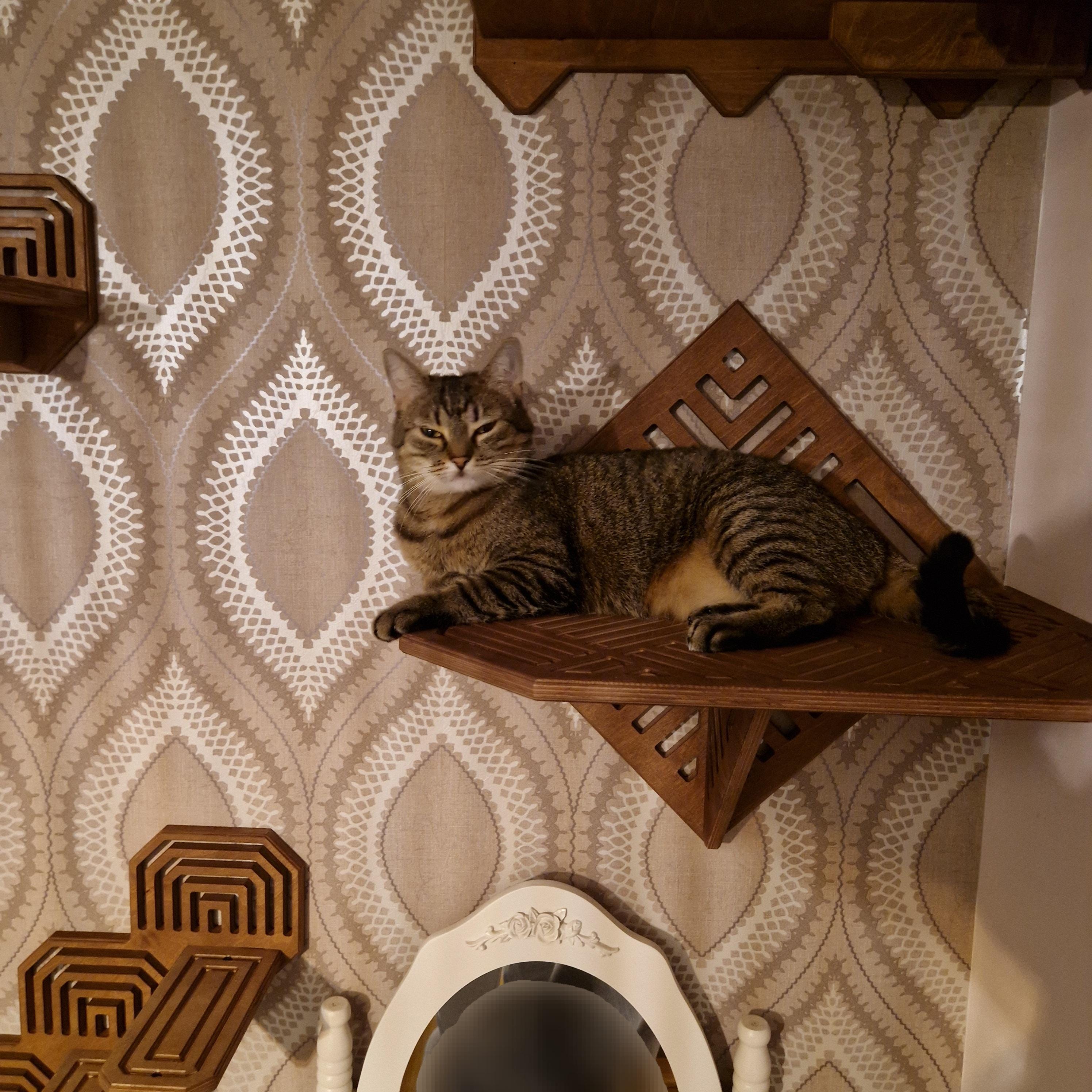 Modern Cat Wall Shelves – Wooden Cat Climbing Furniture, Elegant ...