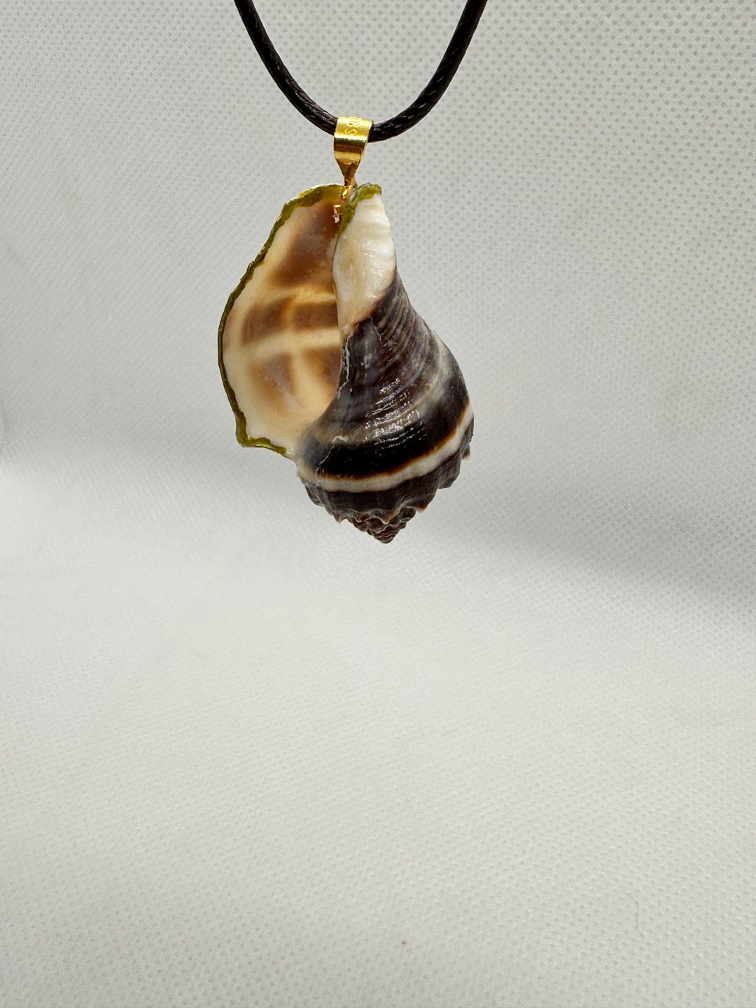 Custom Seashell Pendant Necklace - Etsy