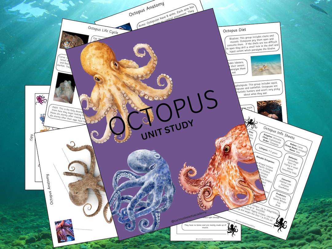 Octopus Unit Study | Fun and Engaging Printables for Homeschool and ...