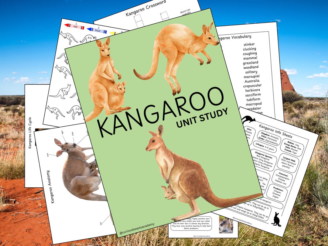 Kangaroo Unit Study for Kids: Fun Learning Printables, Worksheets ...