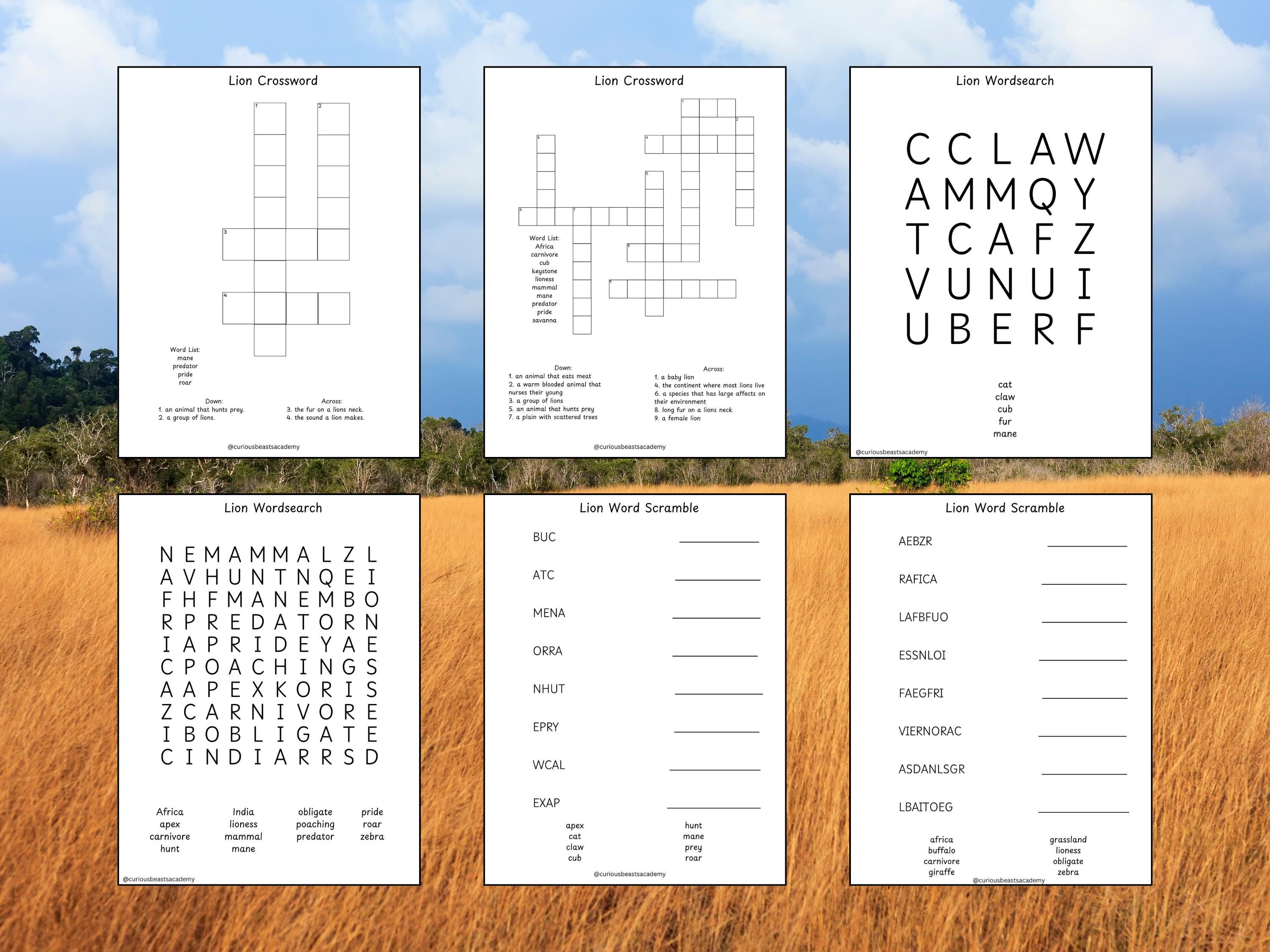 Lion Unit Study: Homeschool Nature Learning Pack (printable) - Etsy