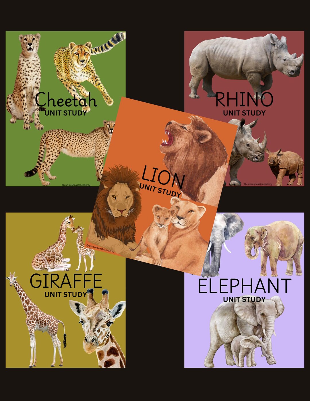 Growing African Unit Study Bundle; Giraffes, Rhinos, Elephants ...