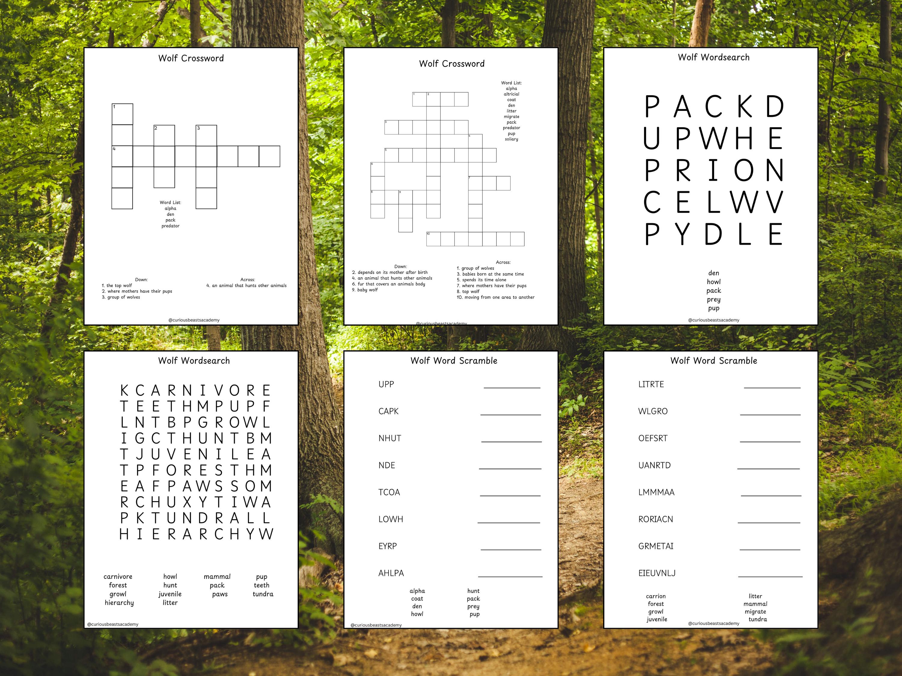 Wolf Unit Study: Homeschool Printable Nature Pack (62 Page) (digital ...