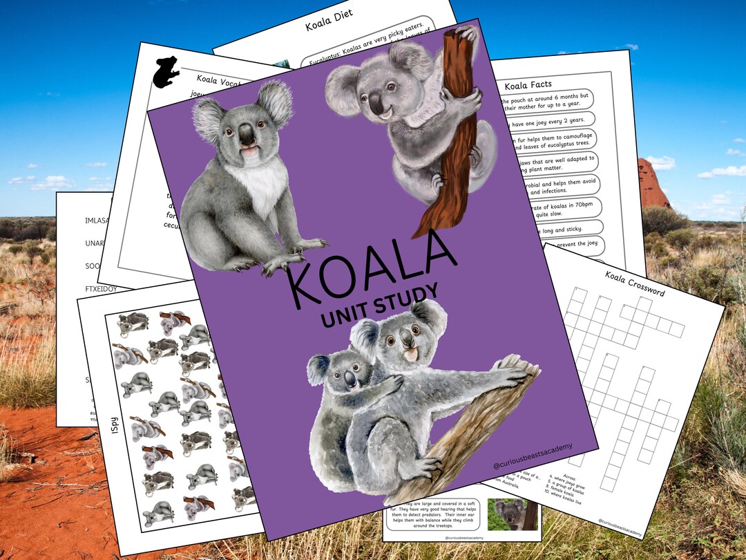 Koala Unit Study for Kids | Fun Learning Printables, Worksheets, Facts ...