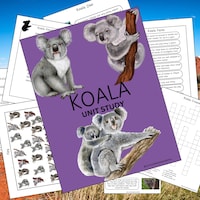 Giraffe Unit Study, Activity Pack, Homeschool Printable (PDF) - Etsy