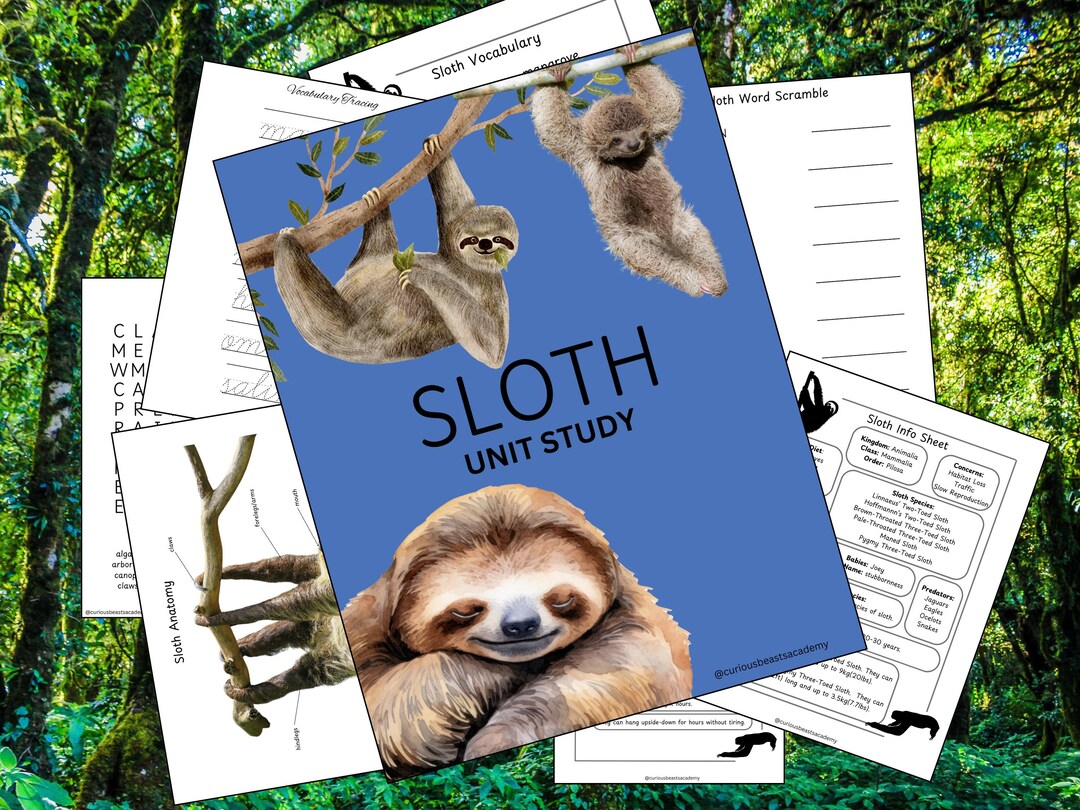 Sloth Unit Study for Kids | Fun Learning Printables, Worksheets, Facts ...