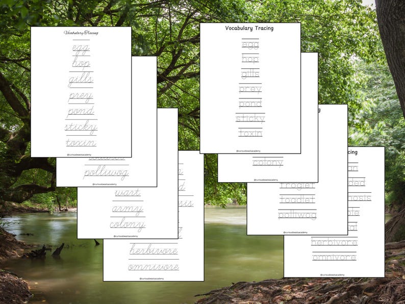 Frog and Toad Unit Study: Homeschool Nature Learning (printable) - Etsy